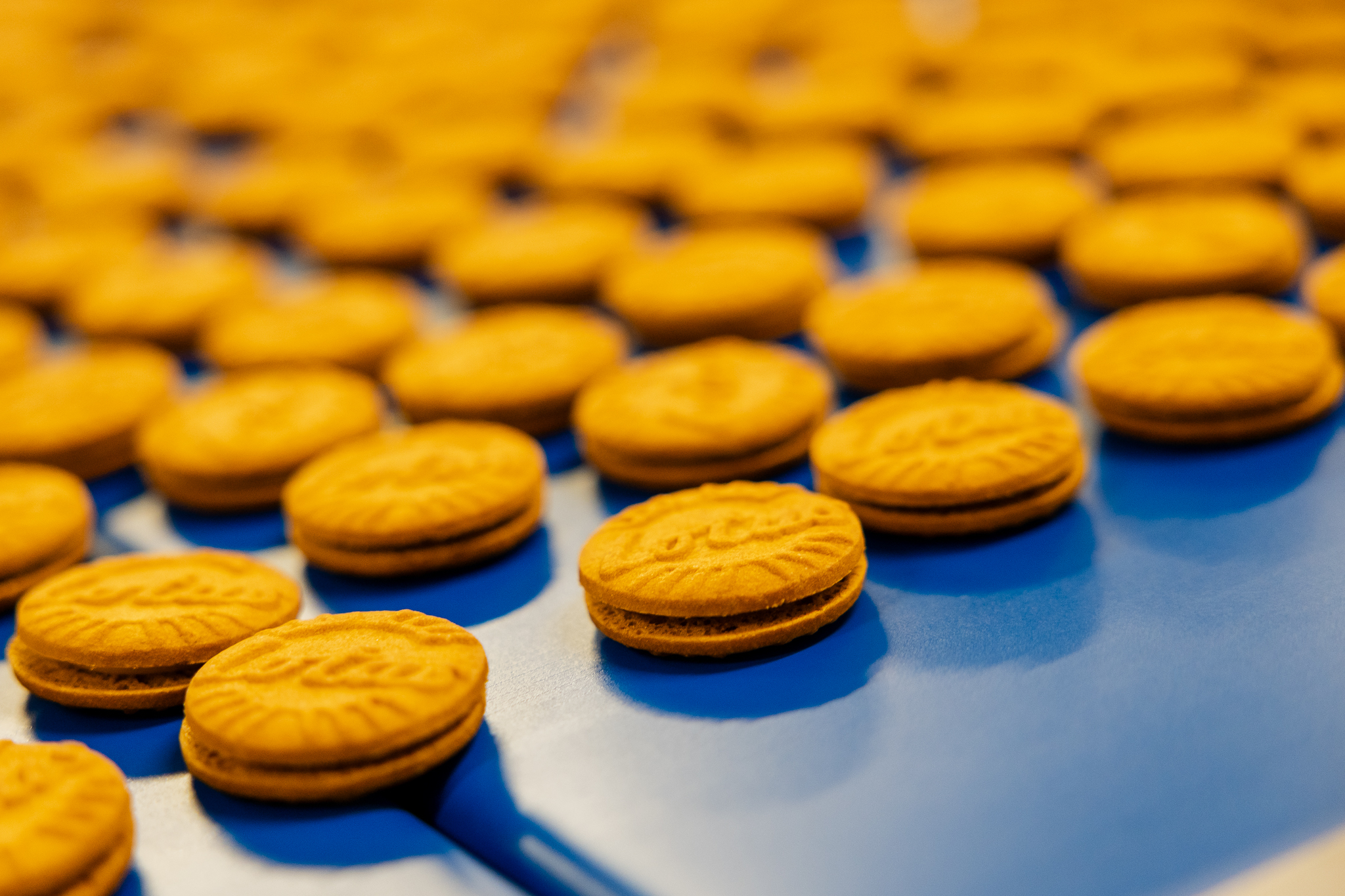 Media gallery | Lotus Corporate