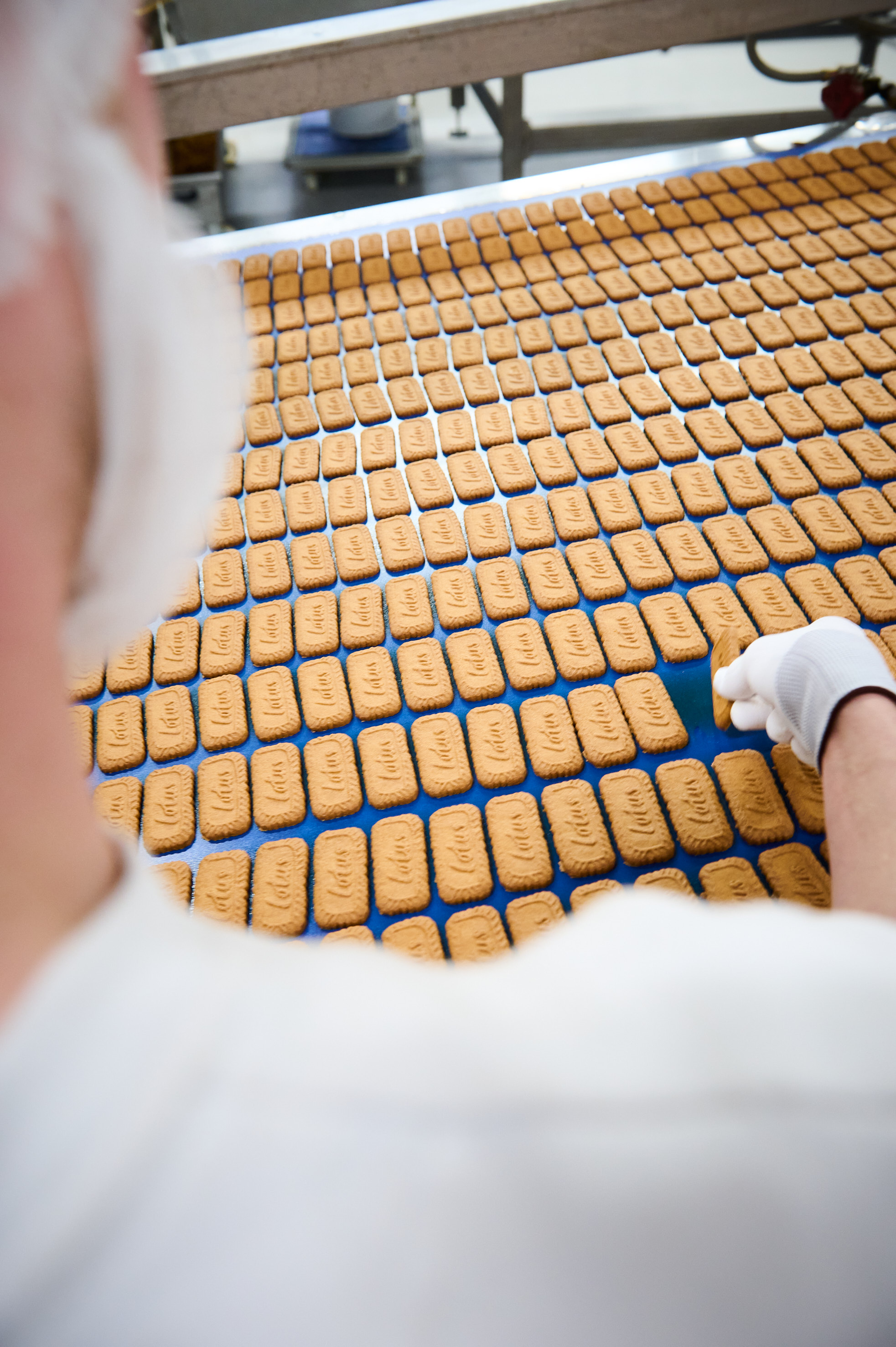 Media gallery | Lotus Corporate